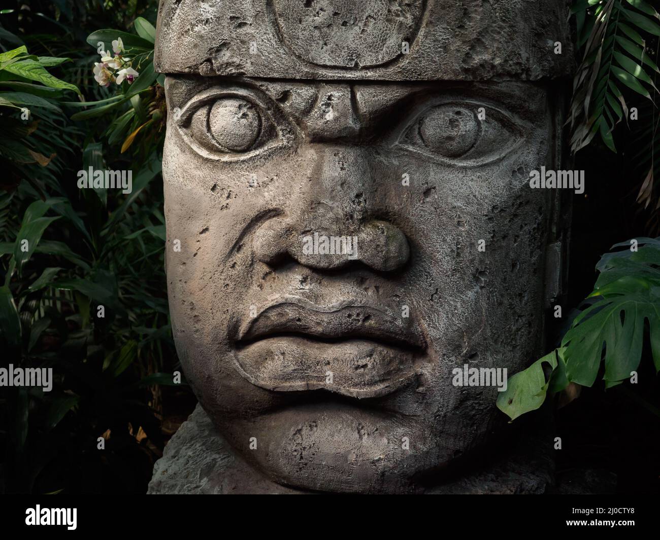 Olmec sculpture carved from stone. Mayan symbol - Big stone head statue ...
