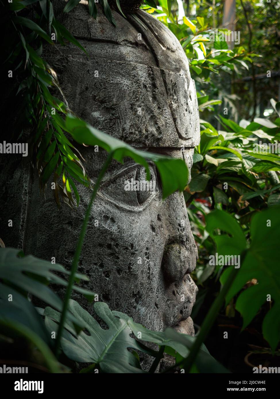 Olmec sculpture carved from stone. Mayan symbol - Big stone head statue ...