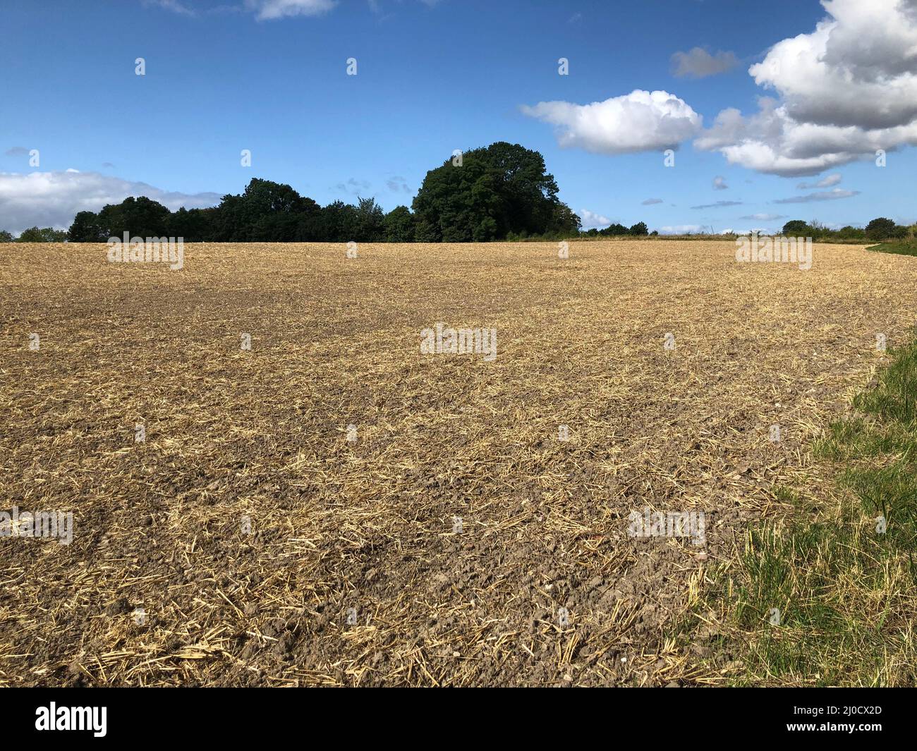 Landscape photo of empty farmland during nice weather Stock Photo - Alamy