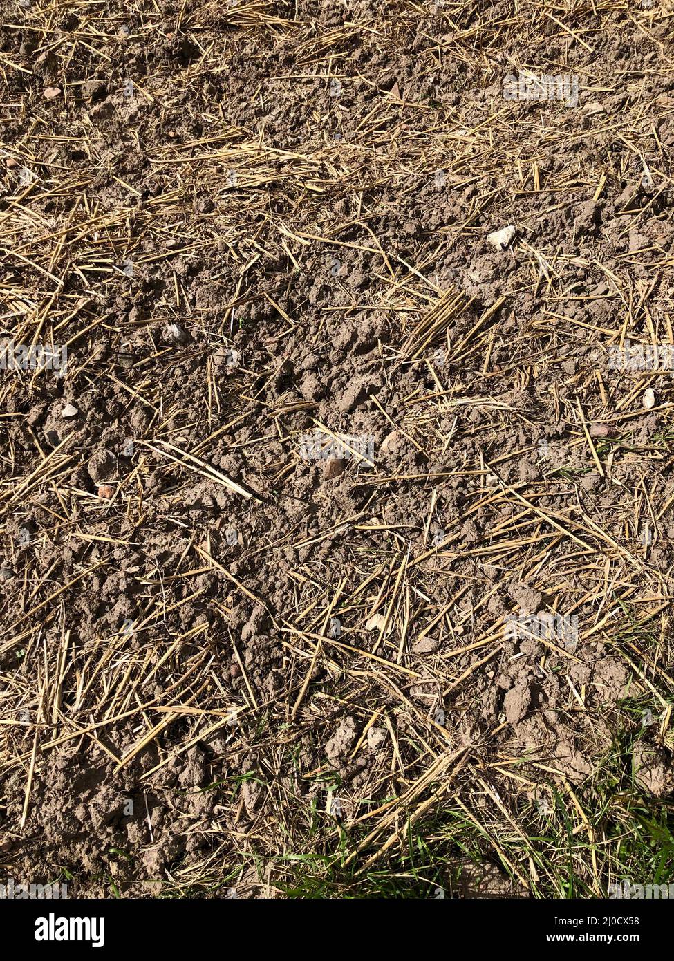 Close up or macro full frame photo of dry ground of farm Stock Photo ...