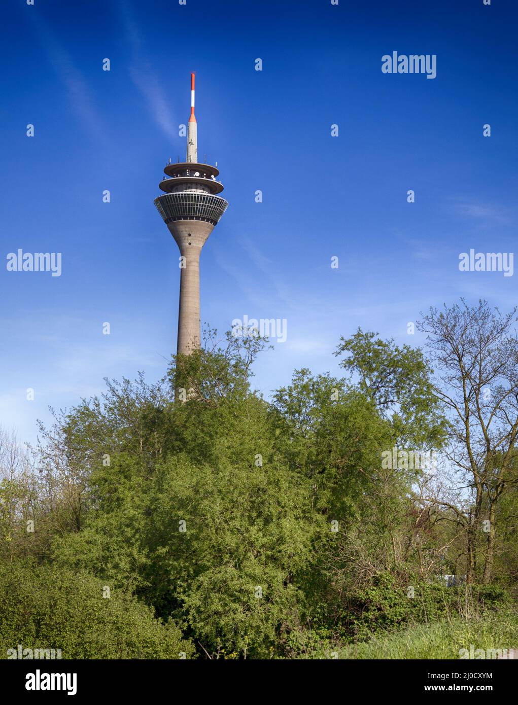 Trees and television tower hi-res stock photography and images - Alamy