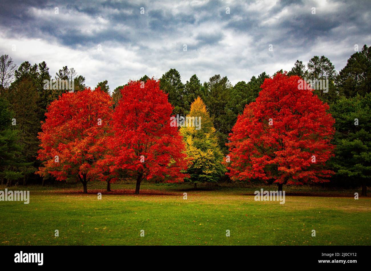 Stunning fall color hi-res stock photography and images - Alamy