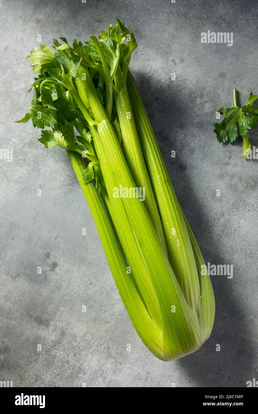 Raw Green Organic Celery Stalks in a Bunch Stock Photo - Alamy