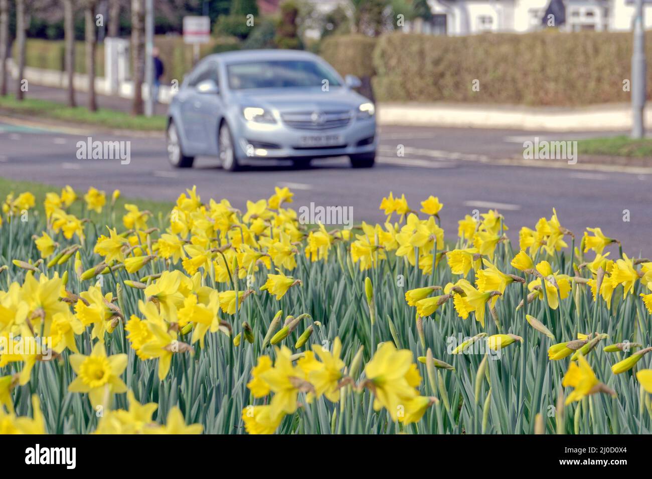 Glasgow, Scotland, UK 18th March, 2022. UK Weather: :Sunny day saw ...
