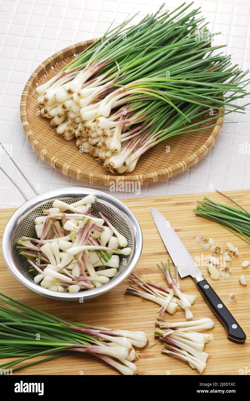 pickled shima rakkyo ( okinawa shallot ), japanese food Stock Photo - Alamy