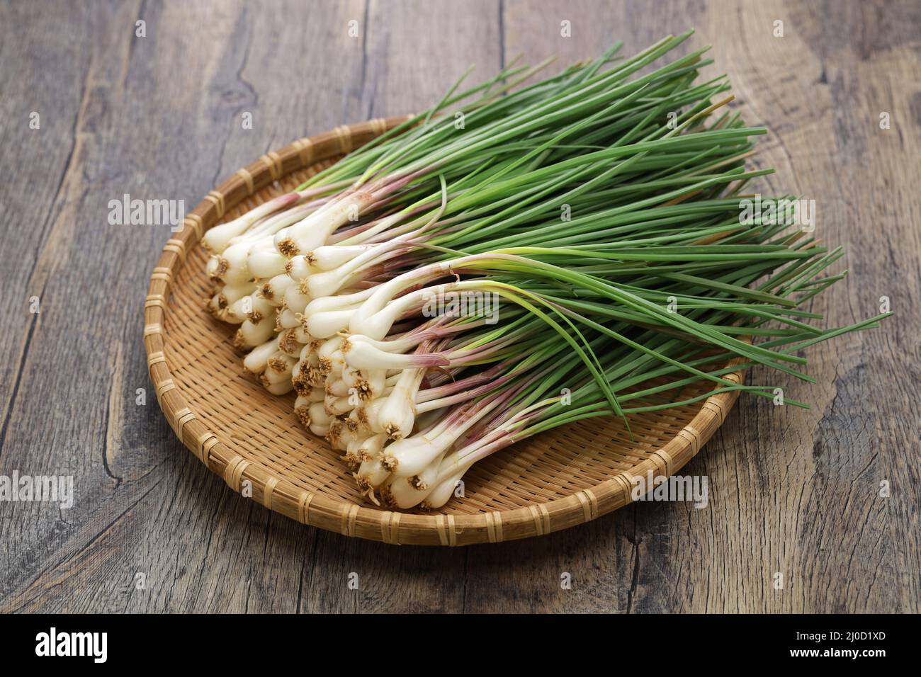 shima rakkyo, okinawa shallot, japanese vegetable Stock Photo - Alamy