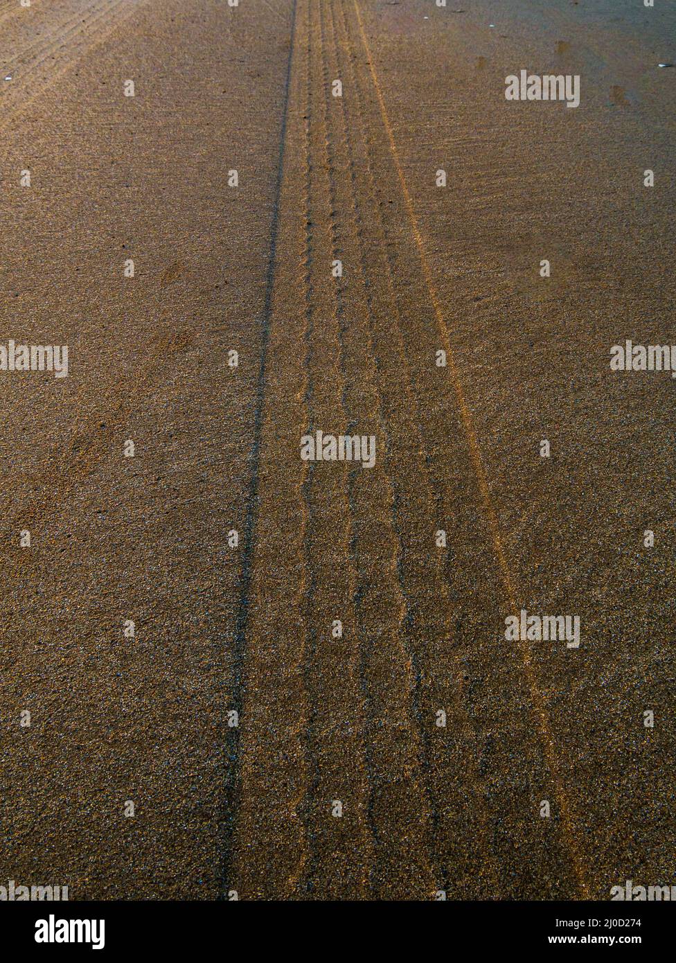 Impression of tyre on Sea sand in vertical or portrait orientation ...