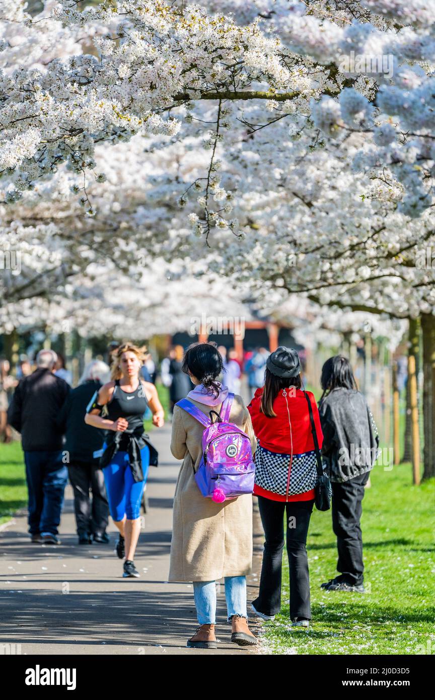 London, UK. 18th Mar, 2022. Tourists and locals enjoy a walk and taking ...