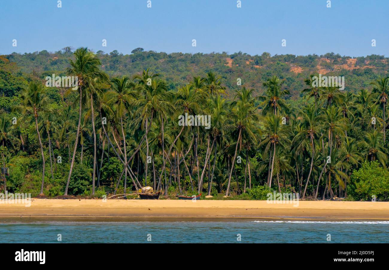 Beautiful landscape of the Indian ocean with coconut trees & fishing ...