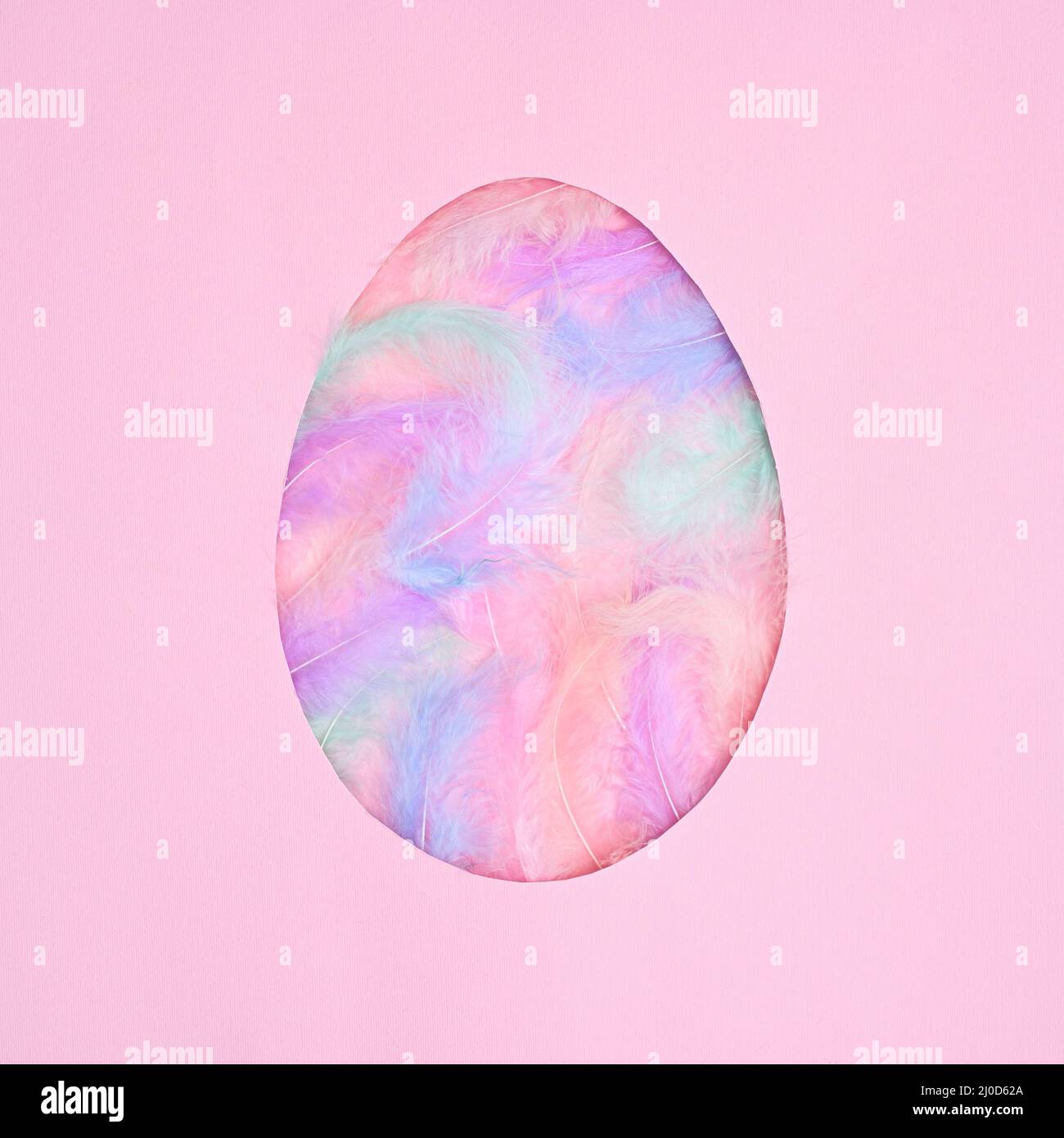 Egg shape frame with natural colorful feathers on pastel pink ...