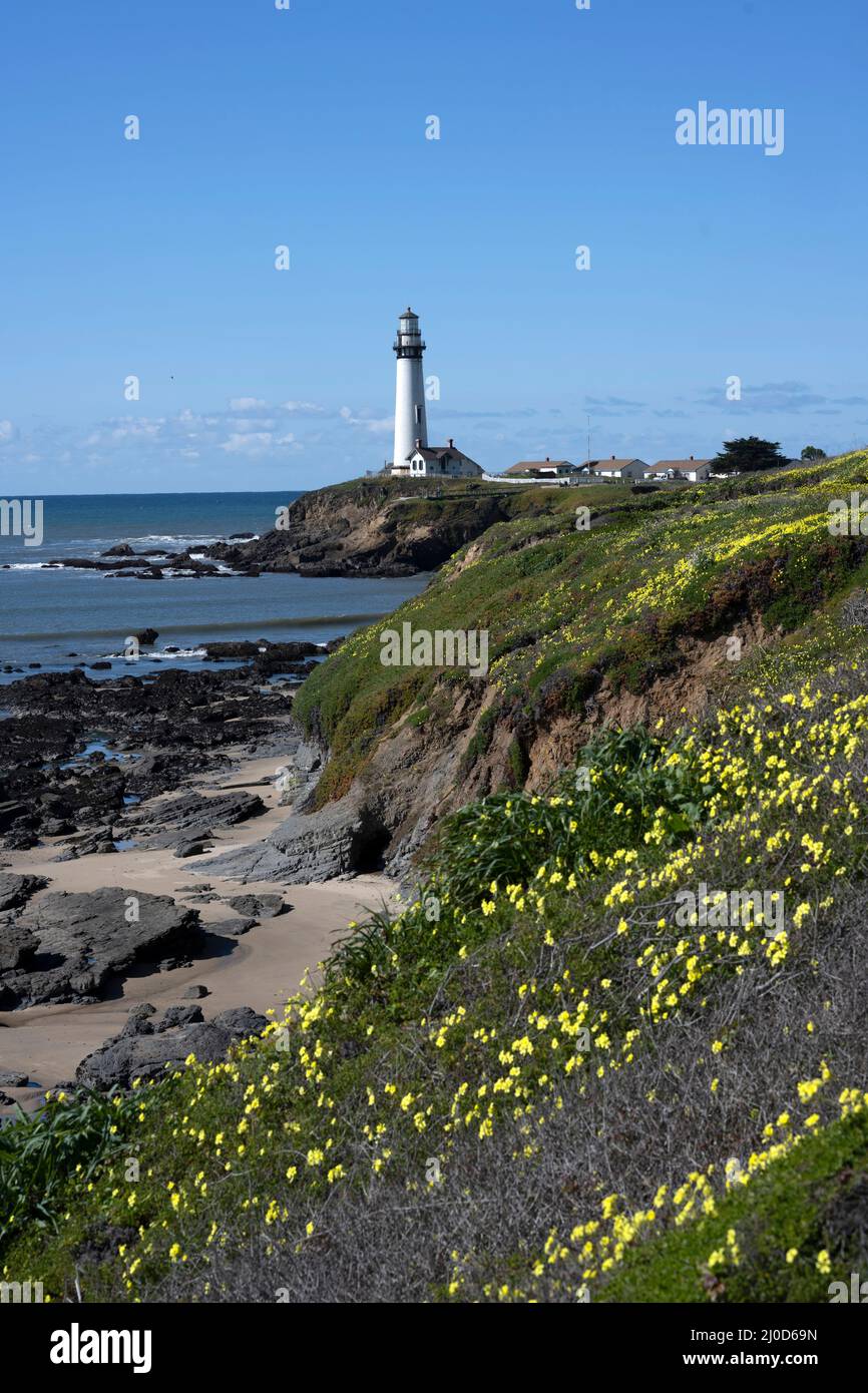Pigeon Point Light Station Stock Photo - Alamy