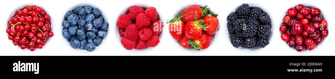 Berries fruits in a row collection isolated from above exempted Stock ...