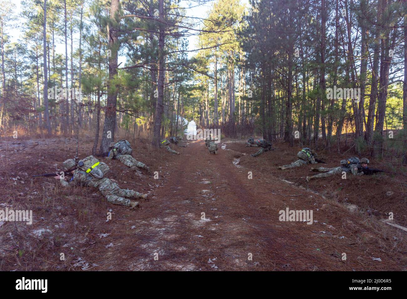 Military army during the combat training surrounded in the forest Stock ...