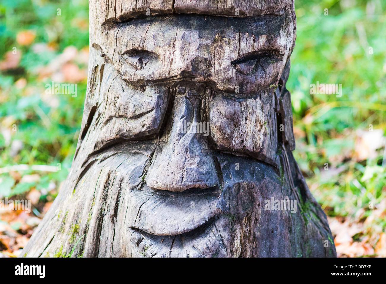 Wood carving on tree trunk hi-res stock photography and images - Alamy