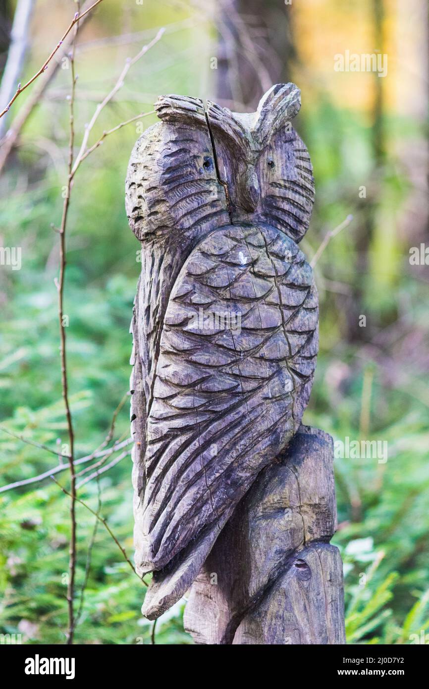 A wood carving on tree trunk in a forest Stock Photo - Alamy