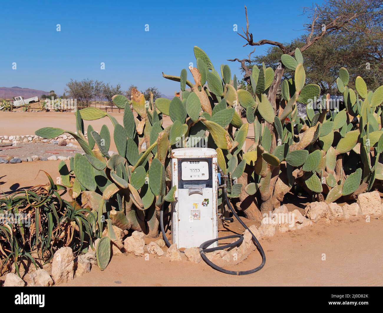 Vintage gas pump near cacti in the Solitaire Town, Namib Desert ...