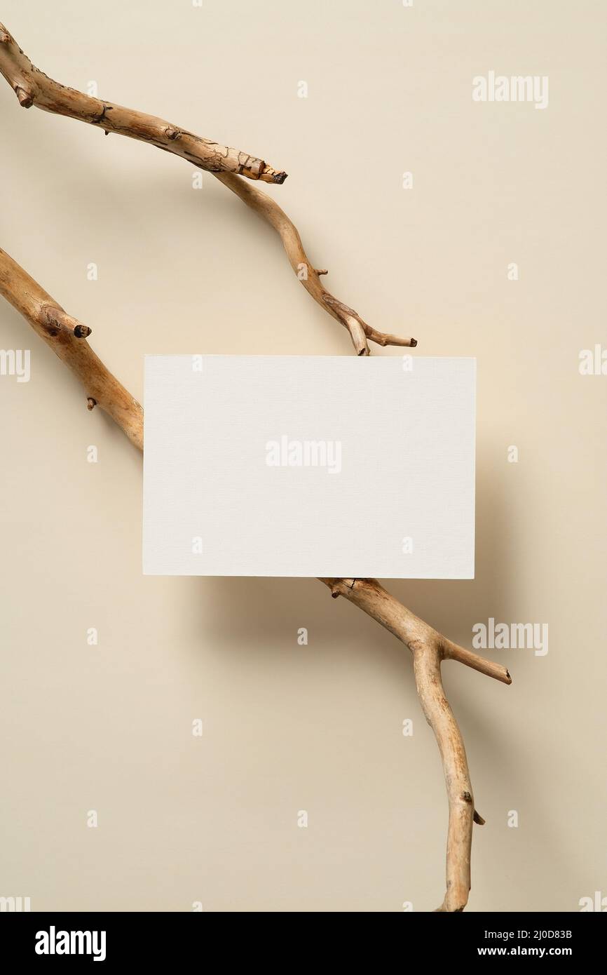 Blank paper card mockup on wooden branch over beige background. Flat ...