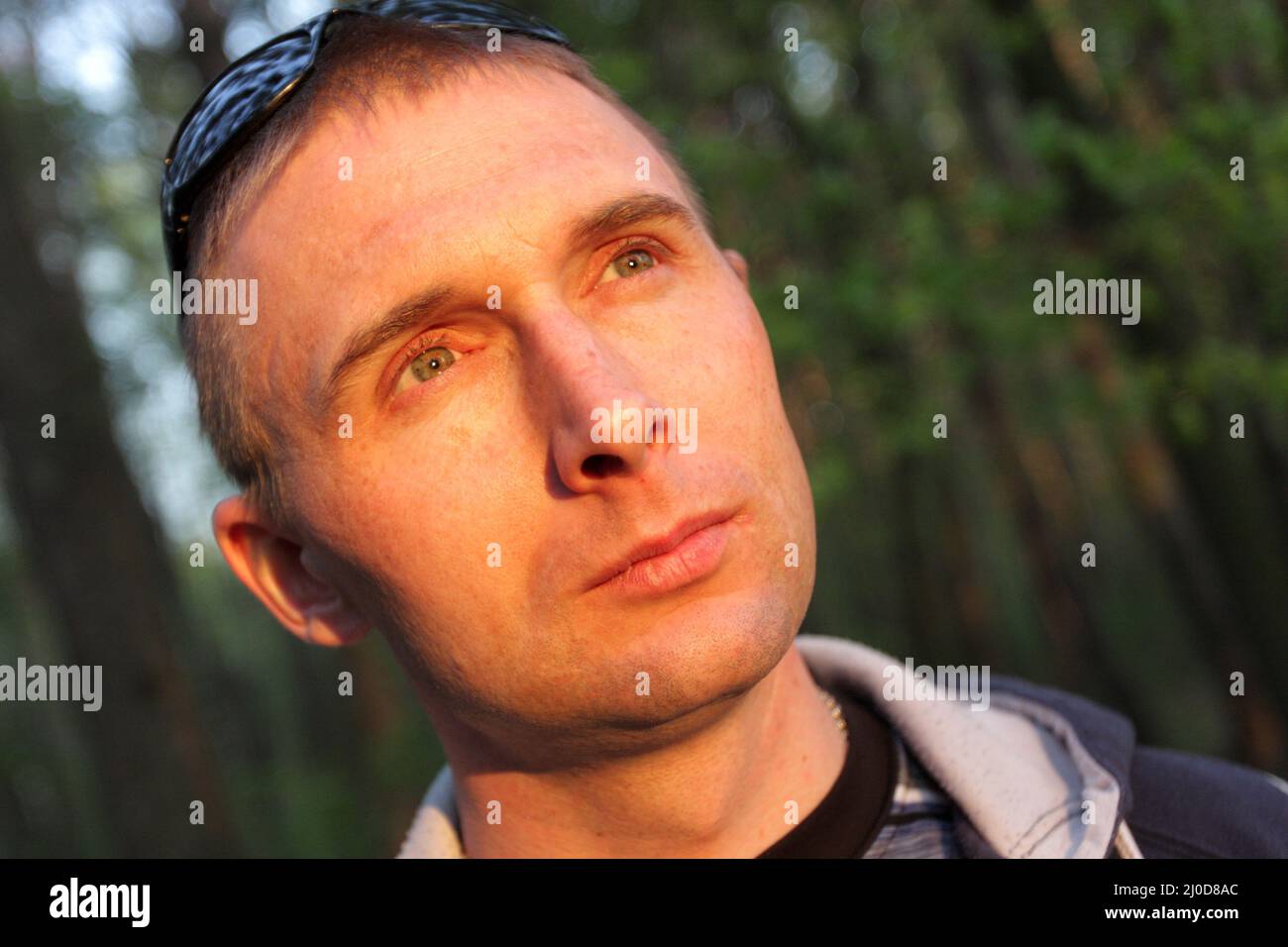 The man in spring forest at sunset Stock Photo - Alamy
