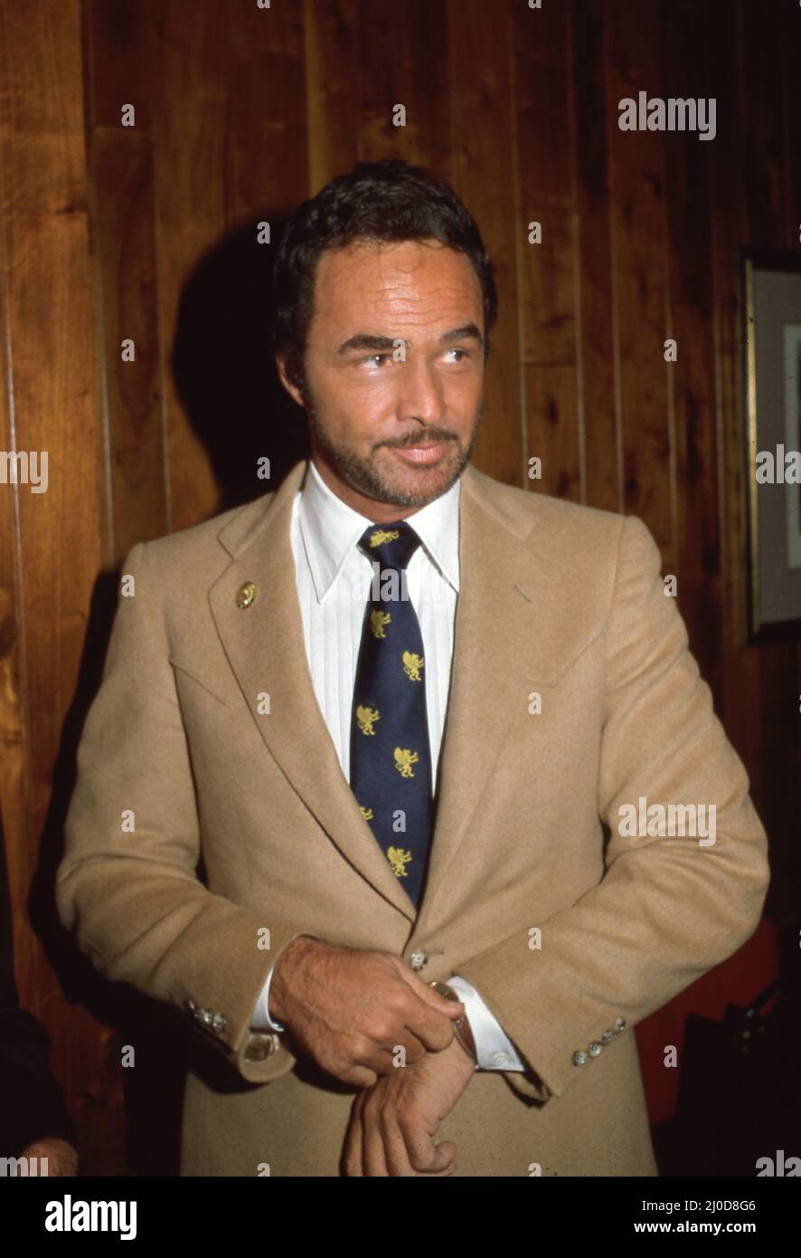 Burt Reynolds Circa 1980's Credit: Ralph Dominguez/MediaPunch Stock ...