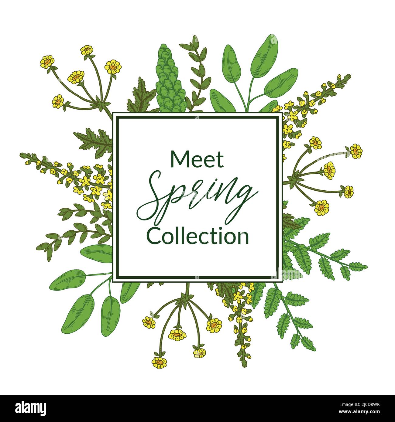 Spring floral green frame with meadow flowers. Hand drawn vector ...