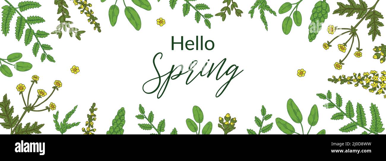 Hello Spring banner with green floral elements. Hand drawn vector ...