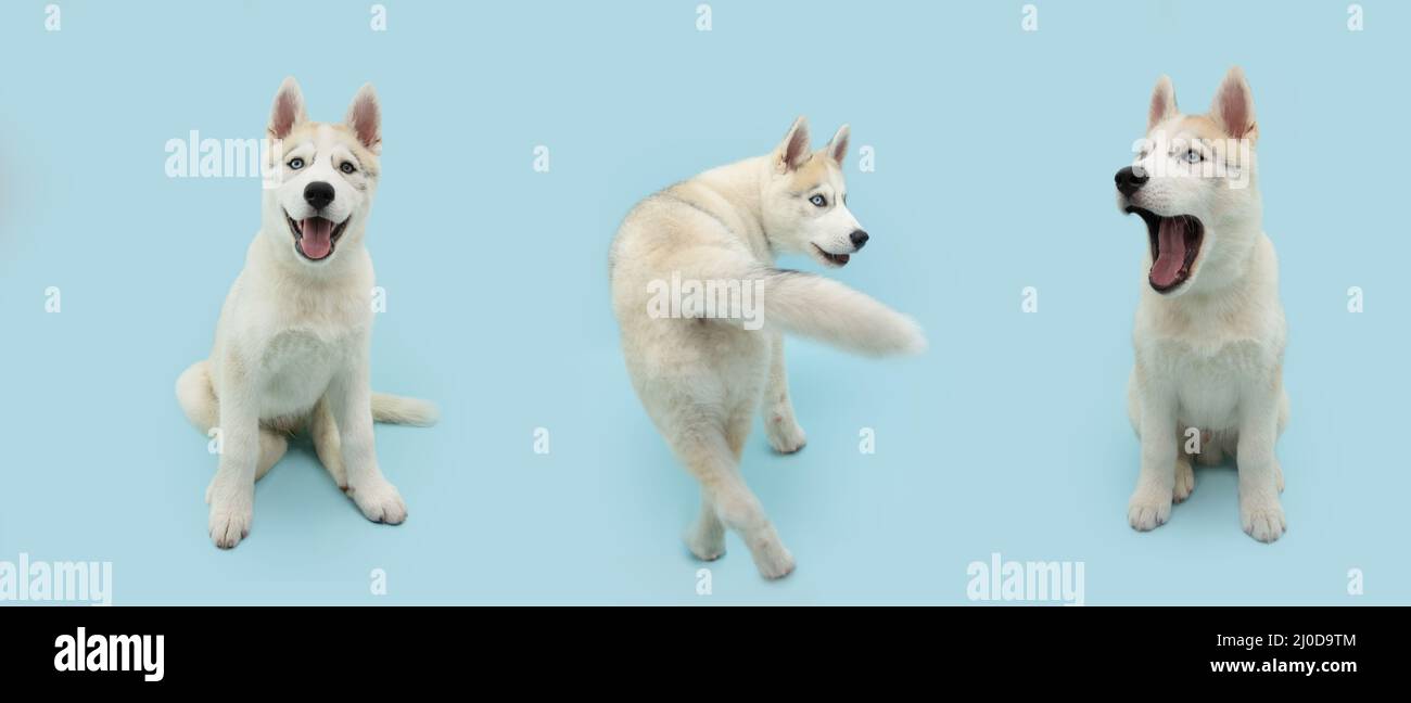 Walking backwards hi-res stock photography and images - Alamy