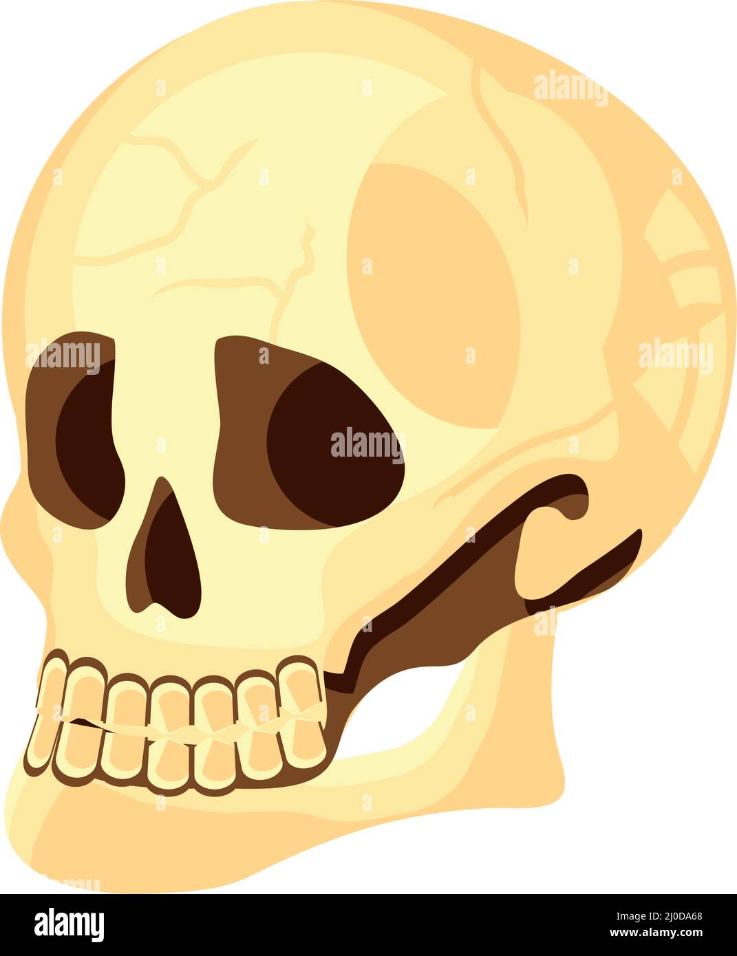 skull icon flat Stock Vector Image & Art - Alamy