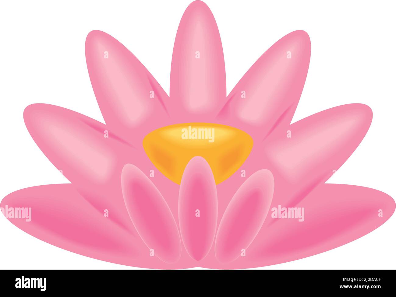 lotus flower nature Stock Vector Image & Art - Alamy
