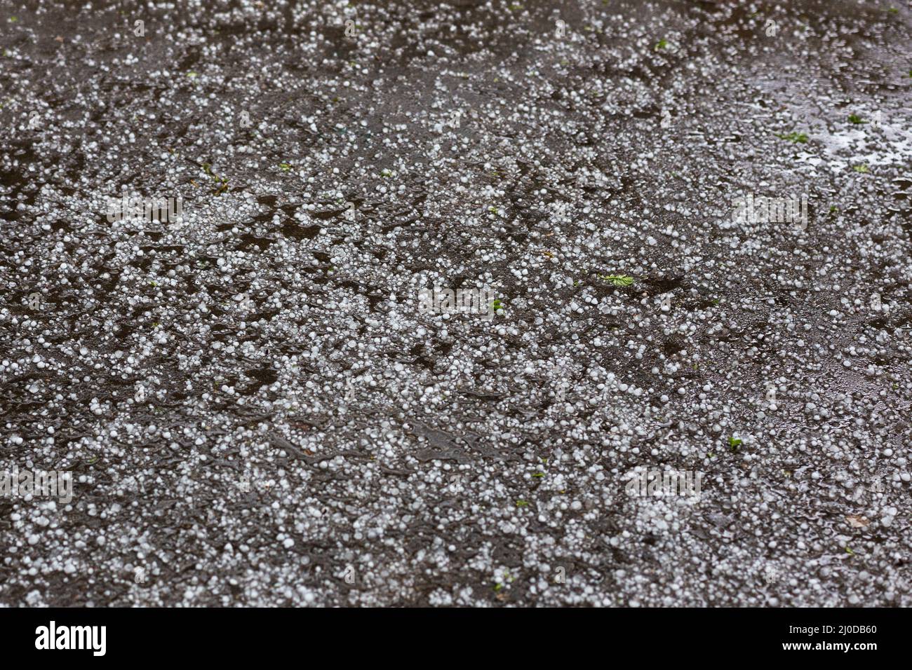 White ice hail on the asphalt road surface Stock Photo - Alamy
