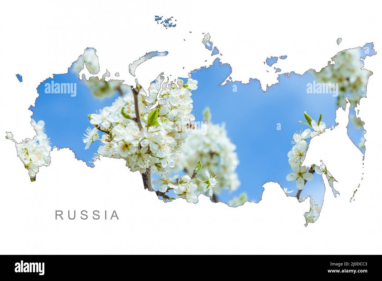 Russia political map capital Cut Out Stock Images & Pictures - Alamy