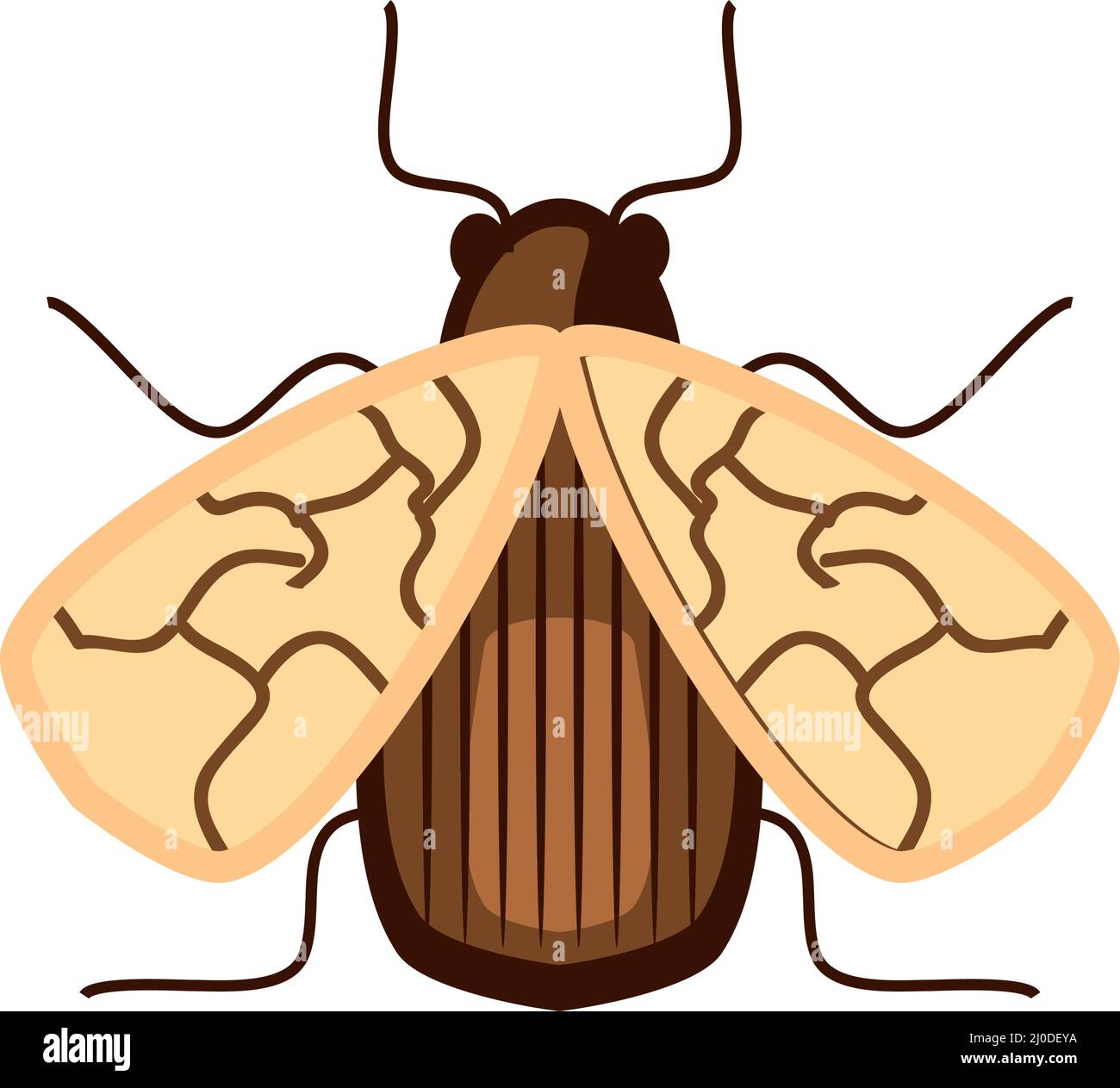 insect cartoon icon Stock Vector Image & Art - Alamy
