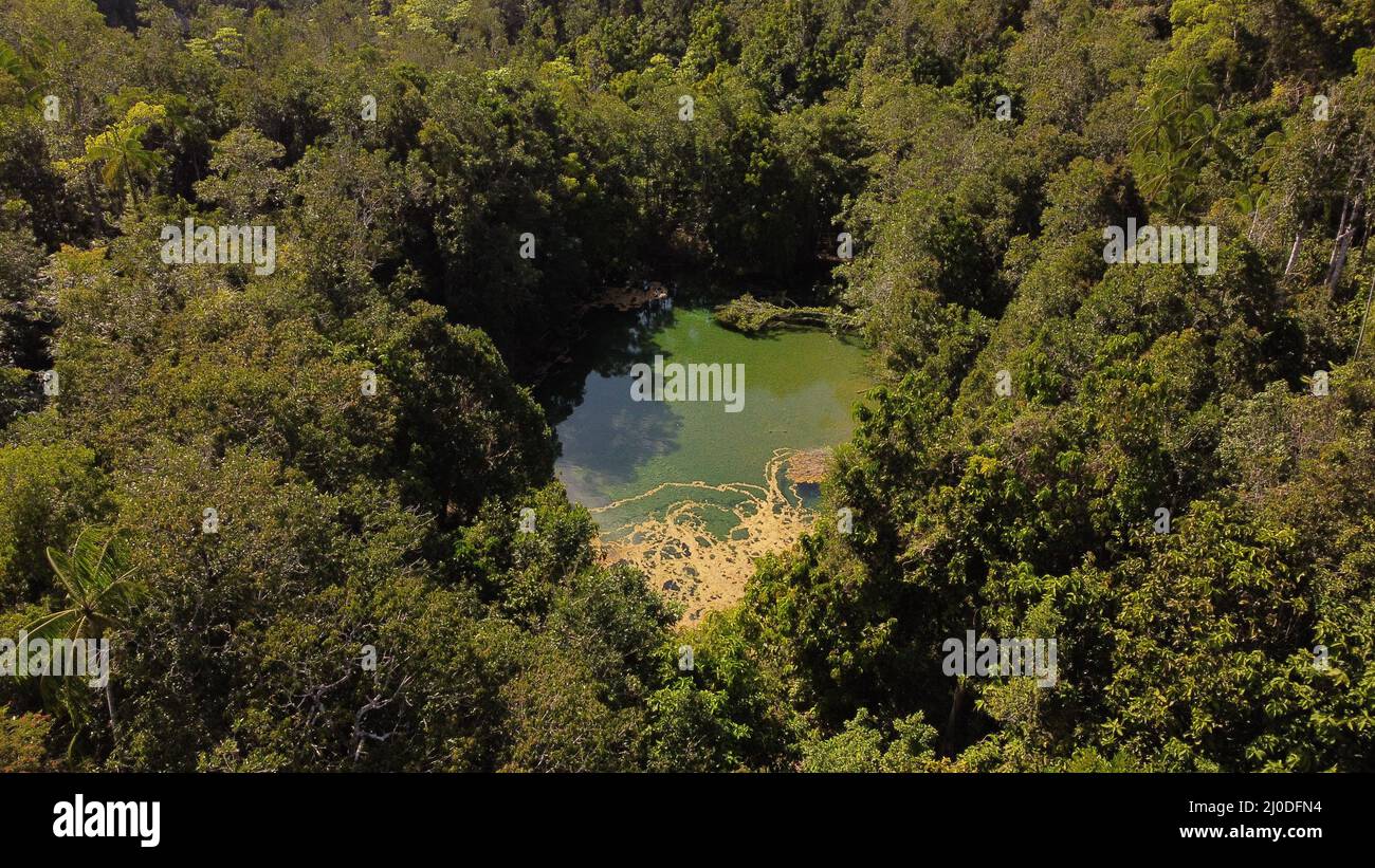 Aerial view of a small lake in jungle Stock Photo - Alamy