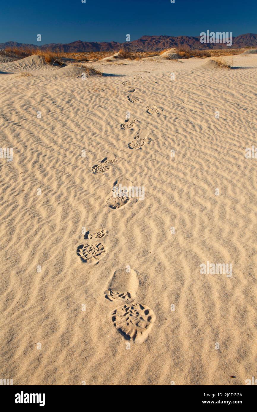 Footprints in sand dunes, Camp Cady State Wildlife Area, California ...