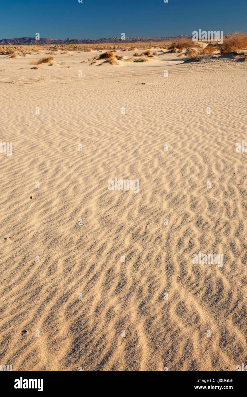 Sand dunes, Camp Cady State Wildlife Area, California Stock Photo - Alamy