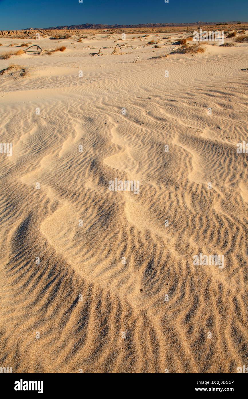 Sand dunes, Camp Cady State Wildlife Area, California Stock Photo - Alamy