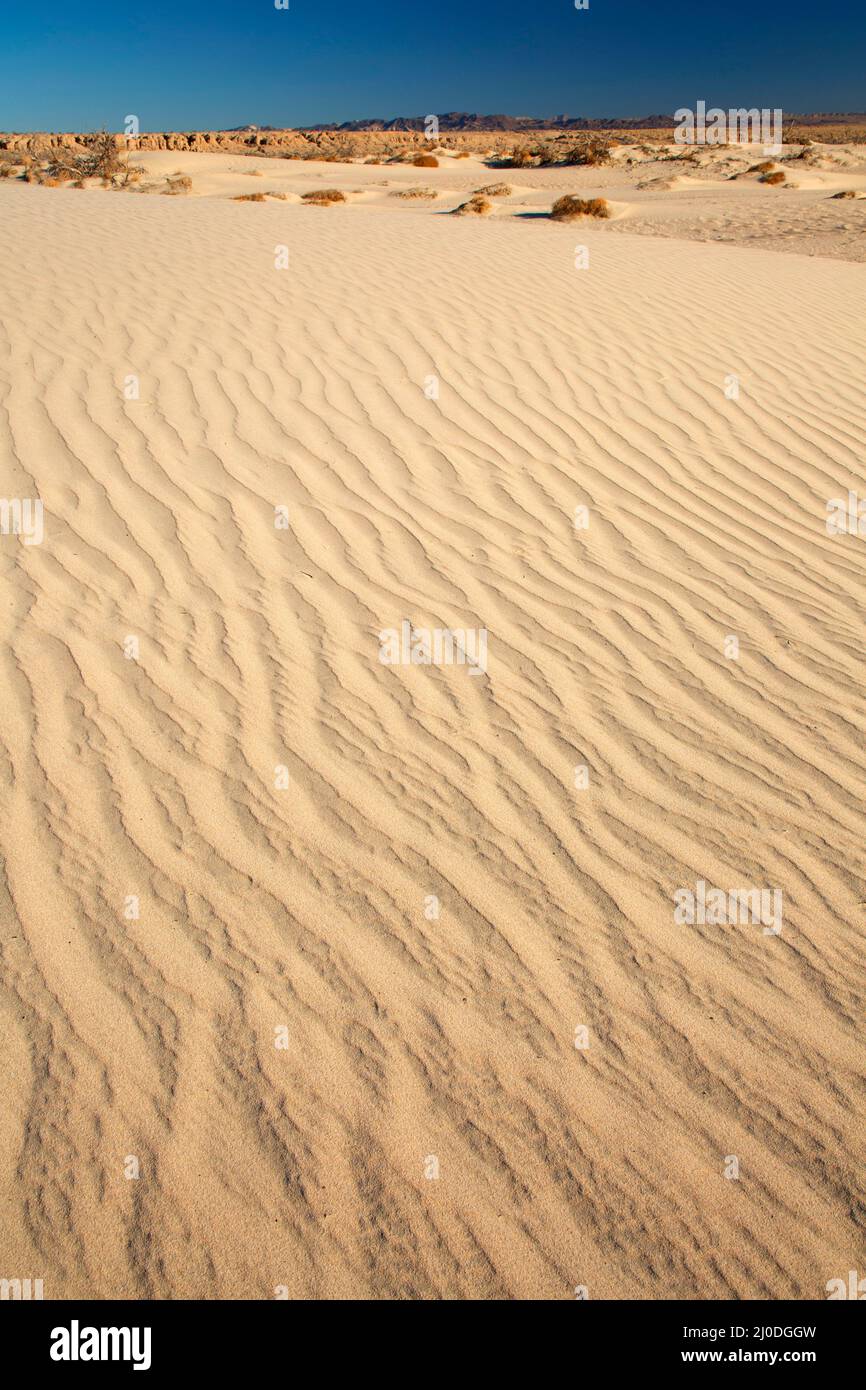 Sand dunes, Camp Cady State Wildlife Area, California Stock Photo - Alamy