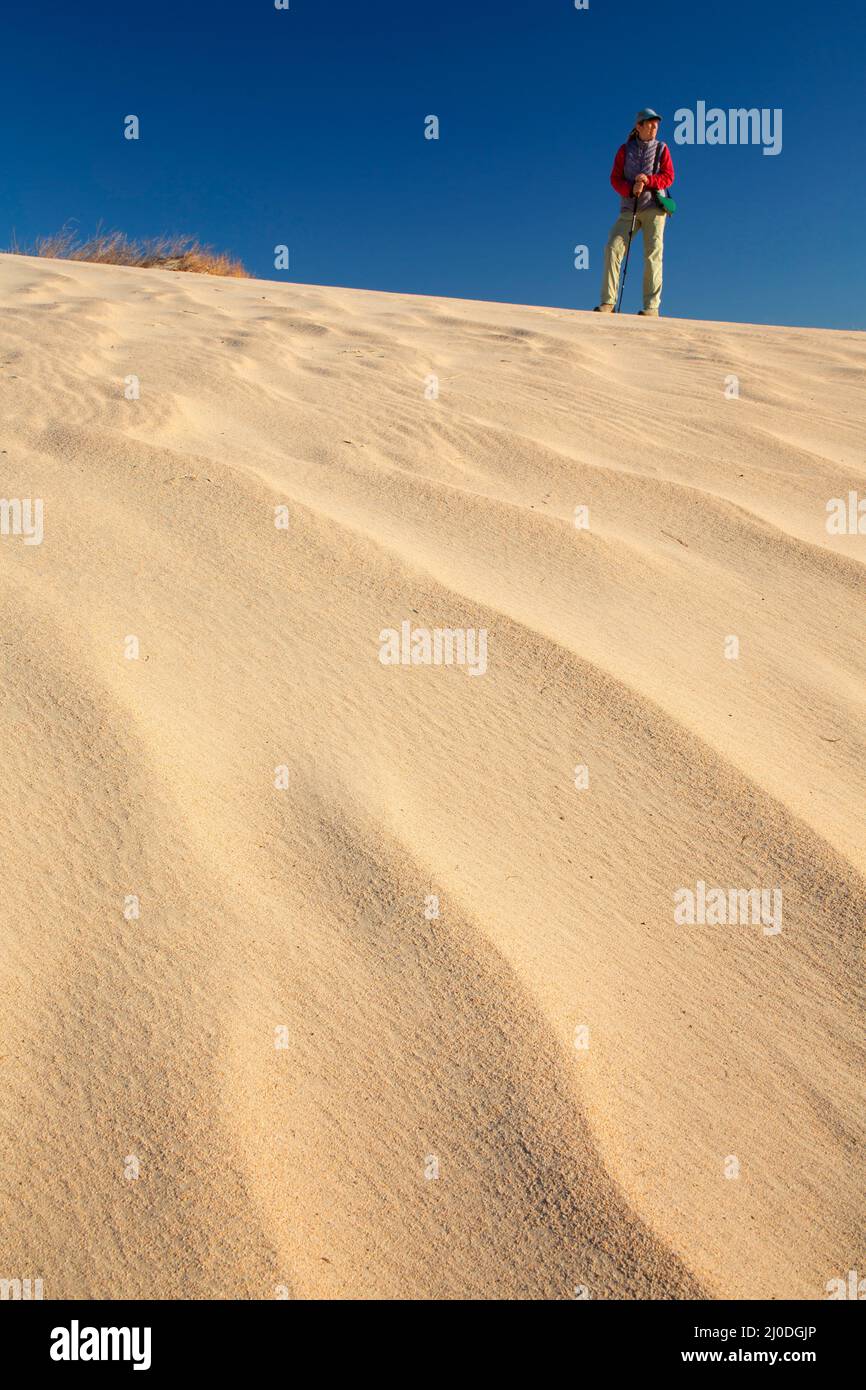 Sand dunes, Camp Cady State Wildlife Area, California Stock Photo - Alamy