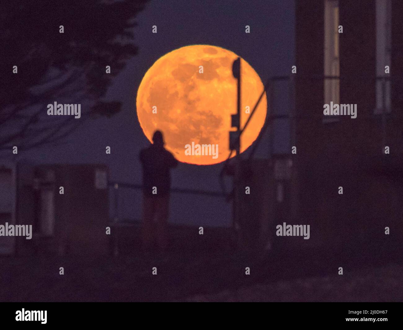 Moon man 2022 hi-res stock photography and images - Alamy