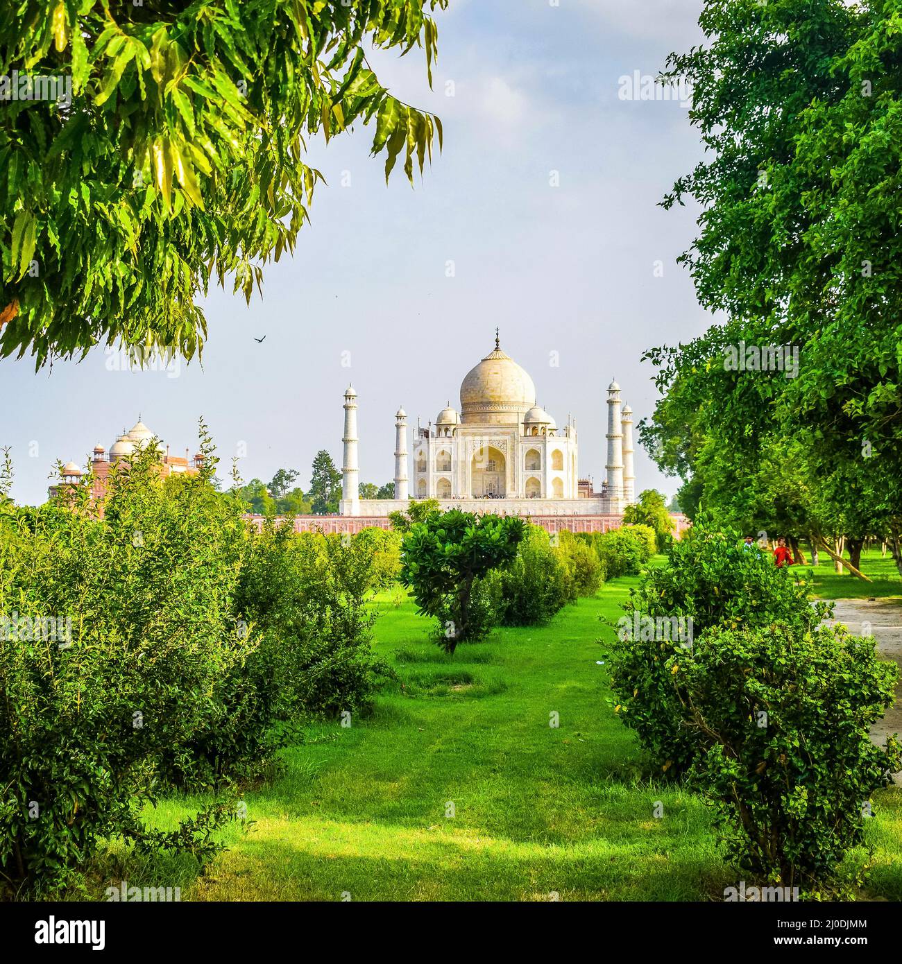 Taj Mahal one of the wonder of the world view from Mehtab Bagh garden ...