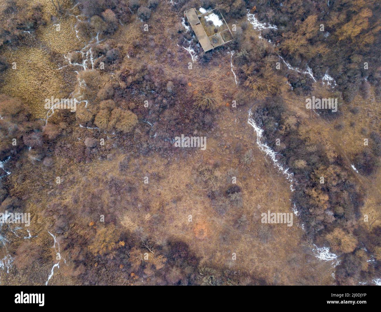 Coast middle swamp forest hi-res stock photography and images - Alamy