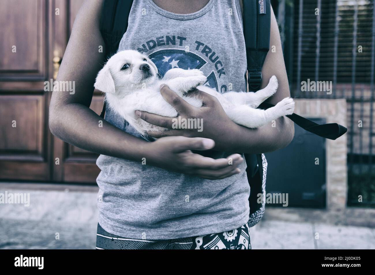 Hund halten hi-res stock photography and images - Alamy