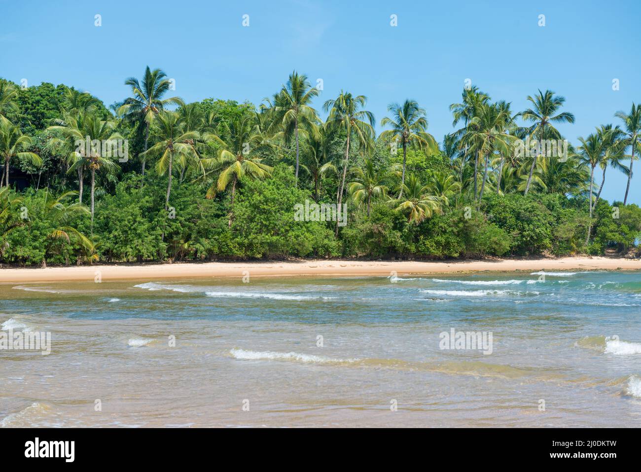 Sunny sky exotic island beach hi-res stock photography and images - Alamy