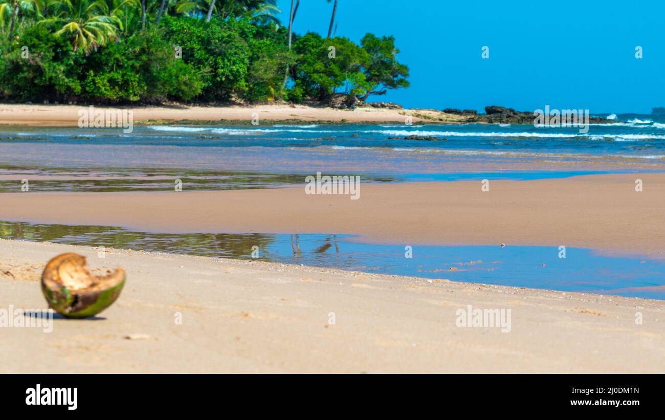Dried coconut hi-res stock photography and images - Alamy