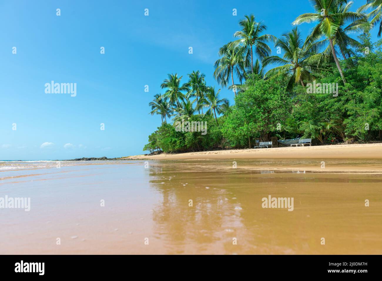 Paradise sandy beach with sunny day behind Stock Photo - Alamy