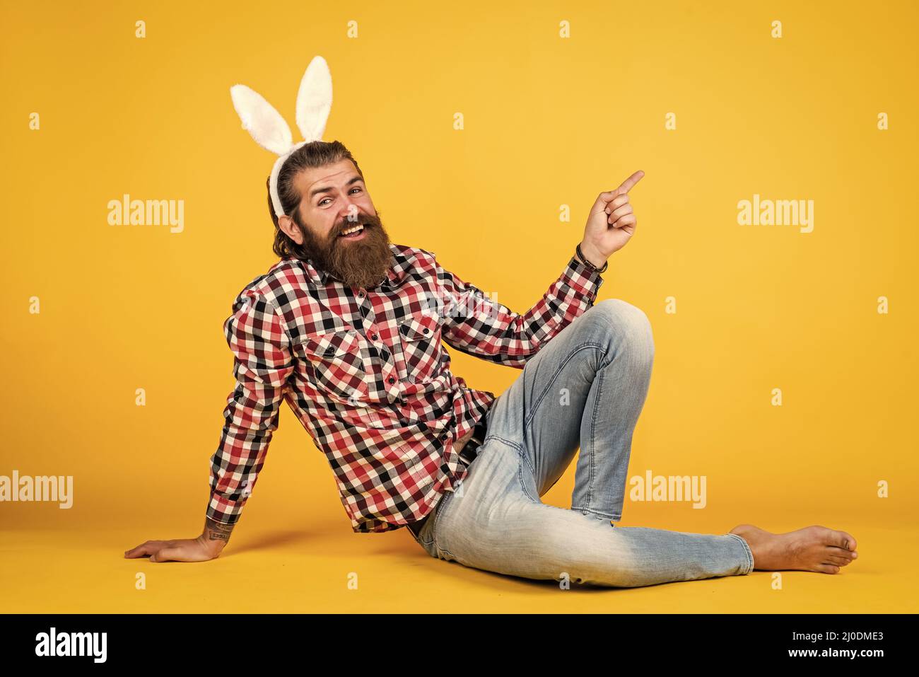 funny bunny. happy easter. funny bearded man wear bunny ears. guy in ...