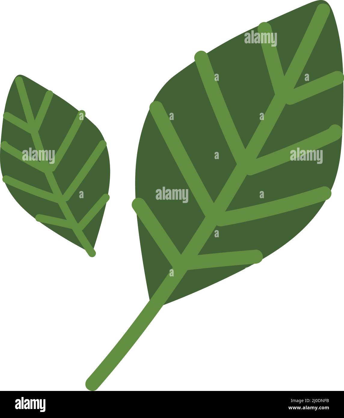 leaves nature icon Stock Vector Image & Art - Alamy