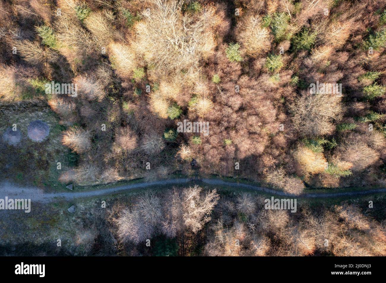 Aerial view of a path or road going through a forest in South Wales ...