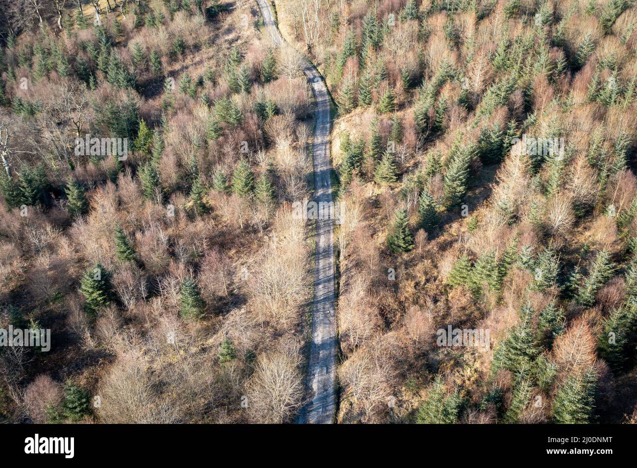 Aerial view of a path or road going through a forest in South Wales ...