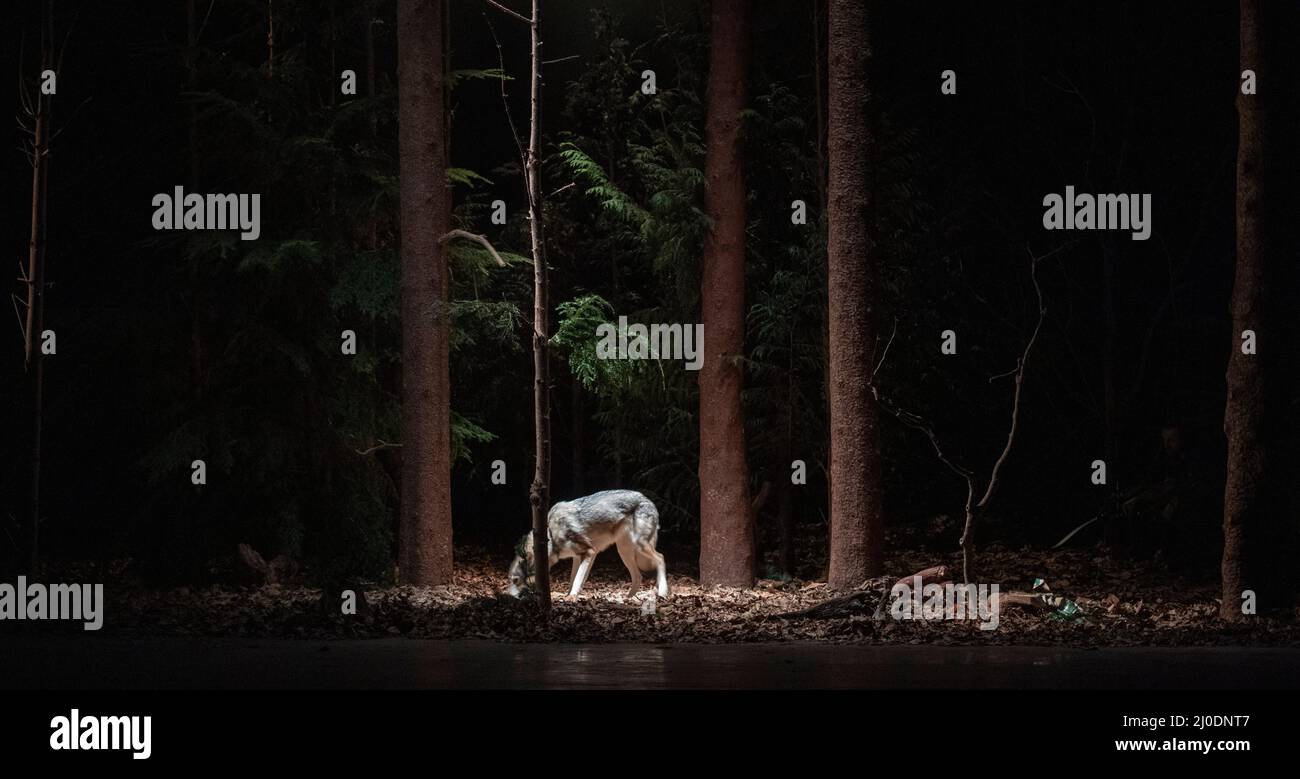 Sadlers Wells, London, UK. 18 March 2022 (See usage requirements). This ...