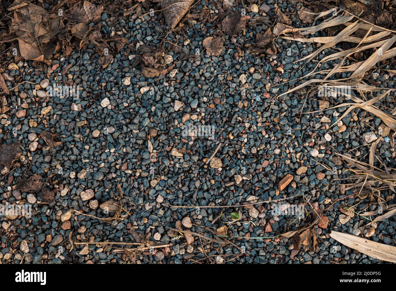 A top of view background of blue pebbles ans leaves in autumn Stock ...